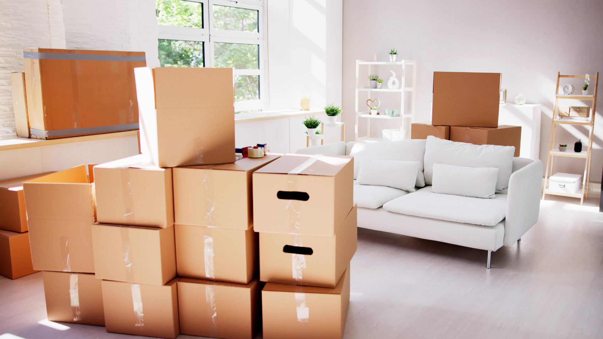 Movers in Weston, FL | Albert's Relocation Services